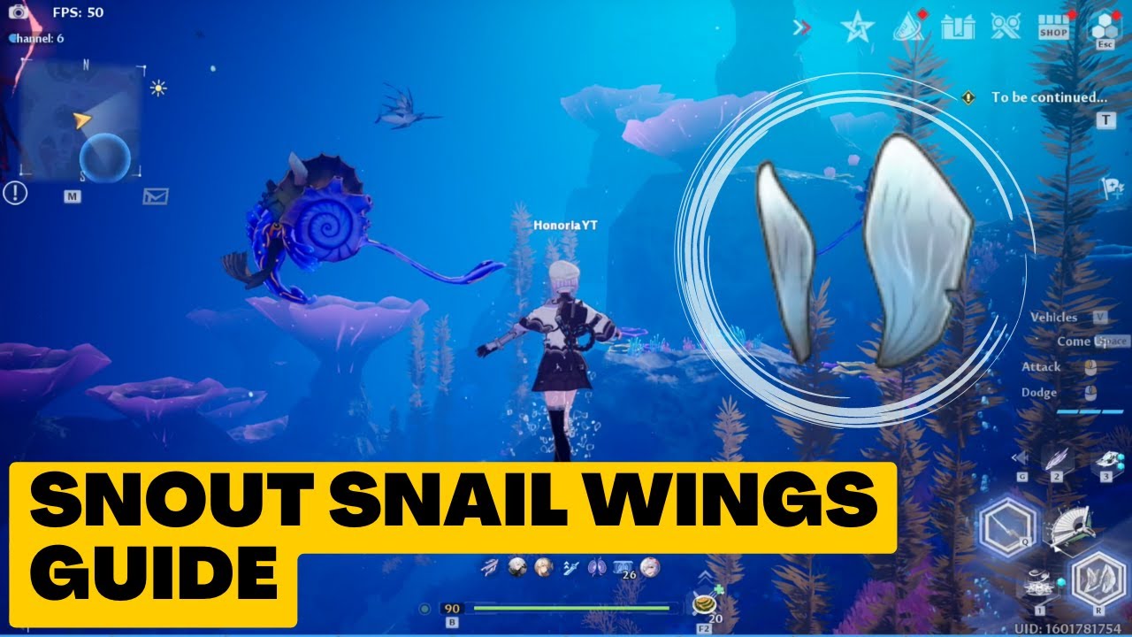 How To Get Snout Snail Wings | Guide [TOF] - YouTube