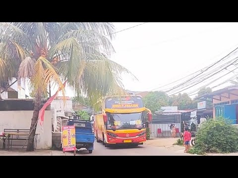 Rameee..|| 3 Bus Di kawal Bocil mania sampe macet di jalan sempit..