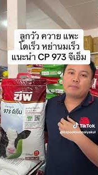 อาหารวัว CP 973 จีเอ็ม - YouTube