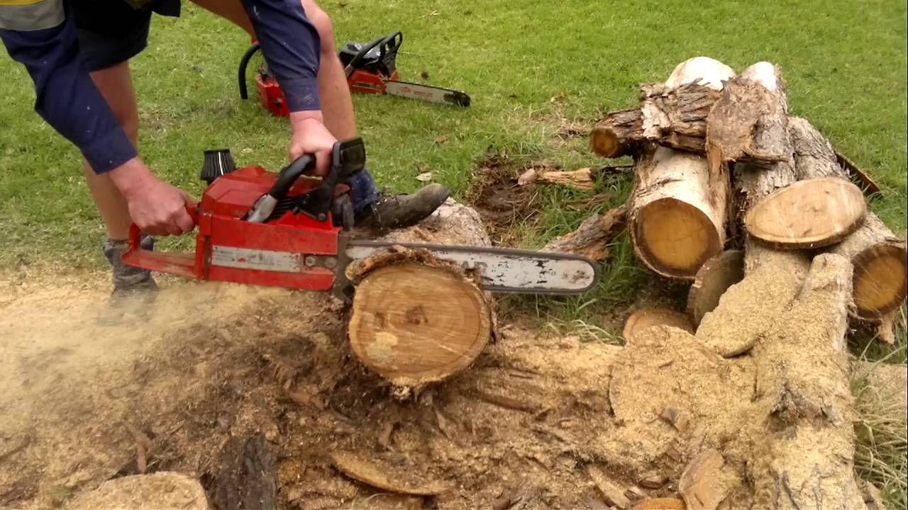 solo 690 chainsaw tallowood hardwood - YouTube