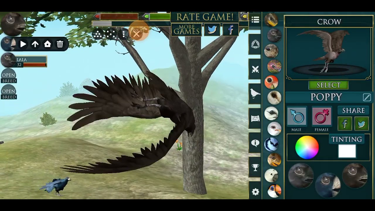 Ultimate Bird Simulator: Crow - YouTube