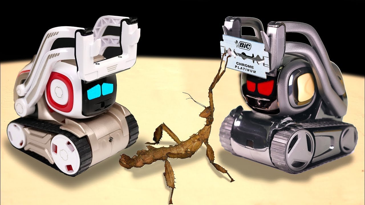ANKI COZMOとANKI VECTORのロボットがお互いに会ったらどうなるか？ 2つの人工的な知性VSナナフシ - YouTube