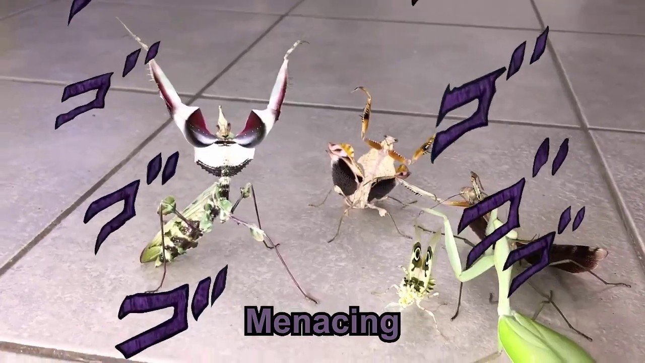 Menacing Mantis Squad - YouTube