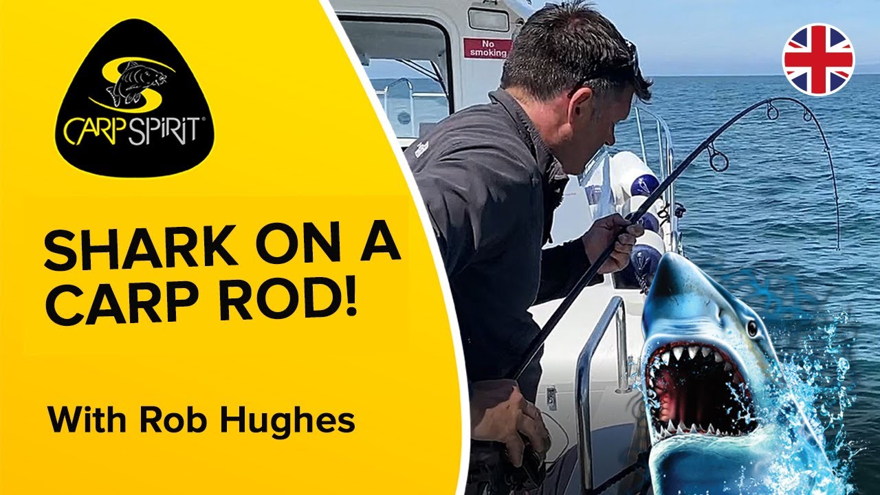Shark on a Carp Rod! - YouTube