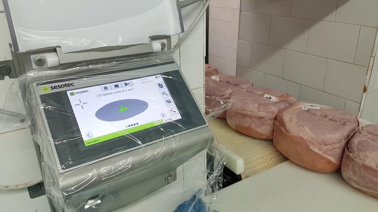 Metal detector Intuity by Sesotec controllo prosciutto cotto. - YouTube