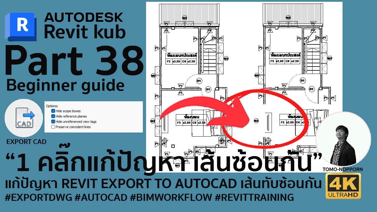 EP.38 REVIT BEGINNER GUIDE : EREVIT EXPORT CAD Preserve Coincident ...
