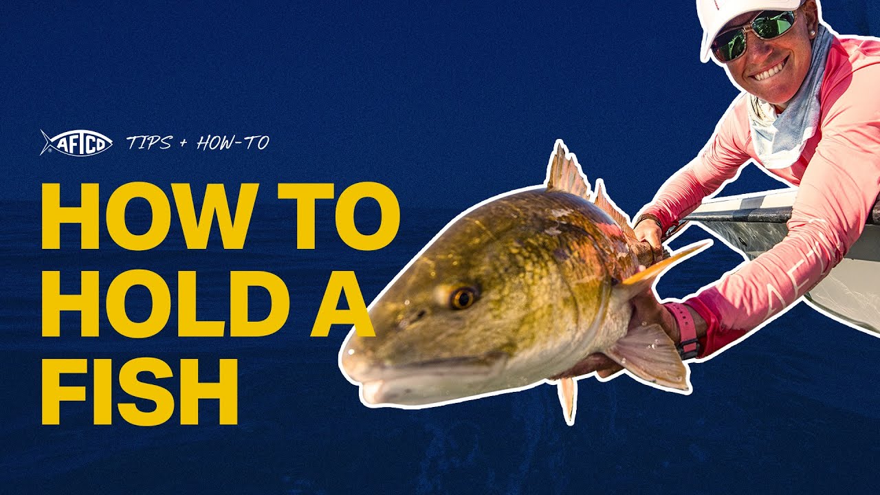 How to Hold a Fish for Catch and Release and for Harvesting - YouTube