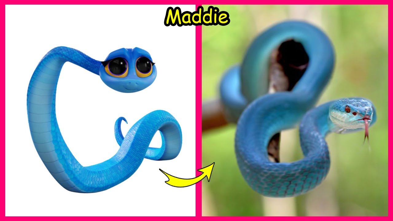 🐍 Back to the Outback 😲 Real Life - YouTube