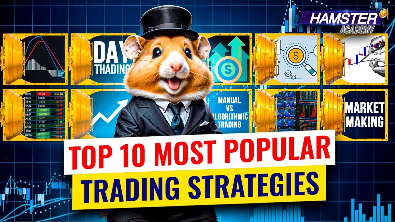 Most popular trading strategies and how they work ⚡️ Hamster Academy ...