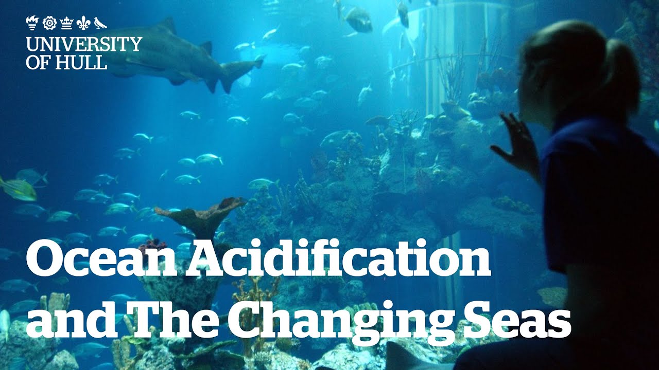 Ocean Acidification and The Changing Seas - YouTube