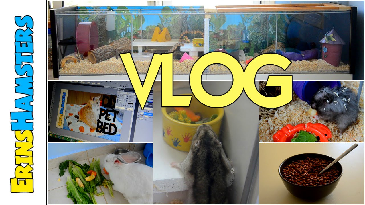 BREAKFAST, CAGE DISASTER & EINY UPDATES | Sept 2014 - YouTube