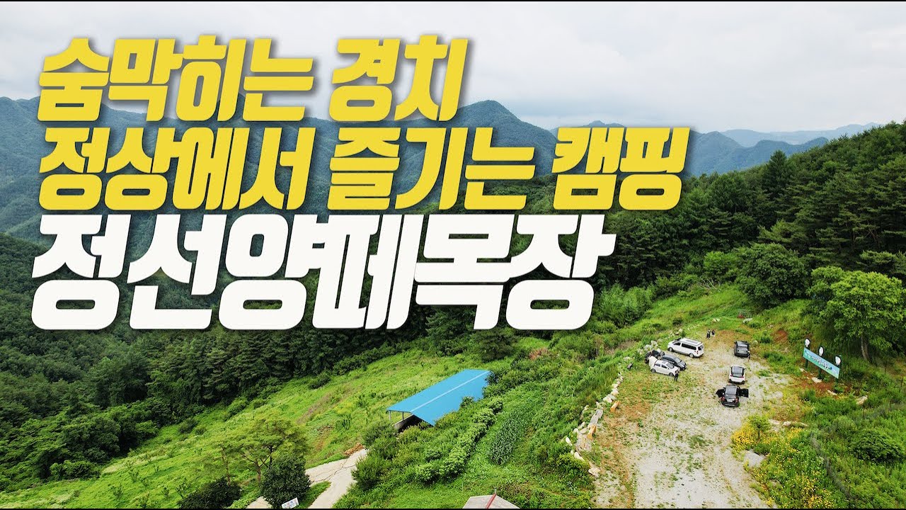정선 정선양떼목장 정선캠핑 노지캠핑 차박 산정상에서 즐기는 아름다운 캠핑 양떼와 함께하는 아름다운 추억 ㅣ정선양떼목장