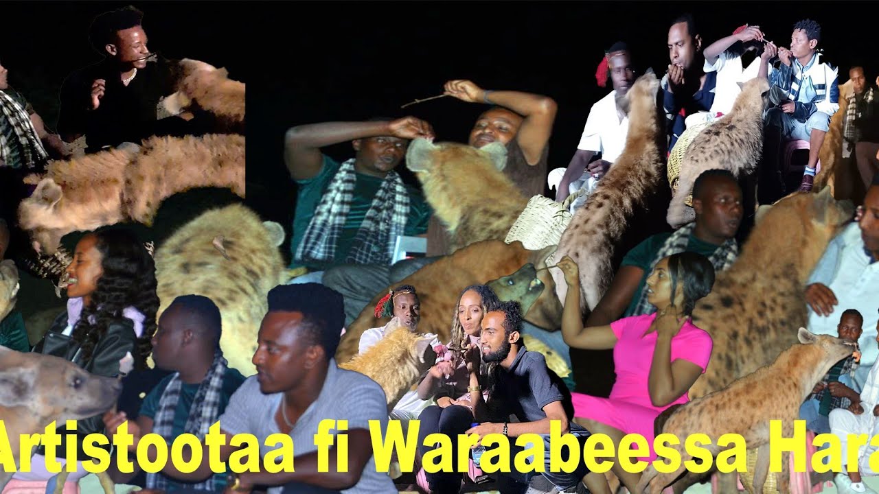 Eenyutu Waraabessa Sodaata? Artistootaa fi Gaazexessota Oromoo #Harar # ...