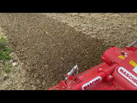 E vai di fresa maschio virat. Al top, fresatura 2021. Trattore Lamborghini.