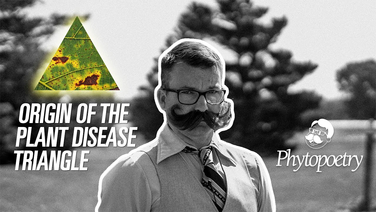 origin-of-the-plant-disease-triangle-phytopoetry-imagine-if-this