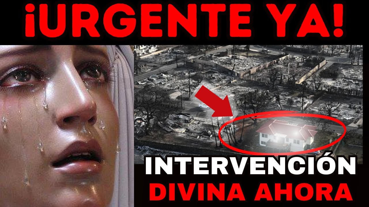 😱 LA VIRGEN MARÍA HOY: ¡Ojalá 1 millón de personas fueran alertadas ...