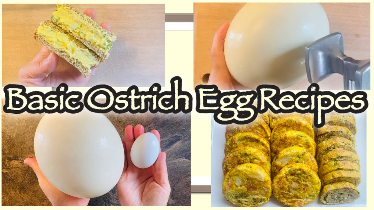 Simple and Basic Ostrich Egg Recipes - YouTube