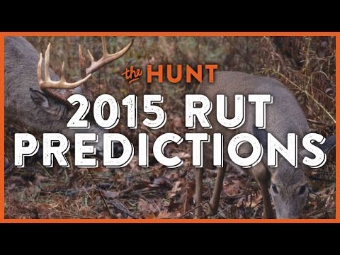 2015 Rut Predictions with Charles Alsheimer - YouTube