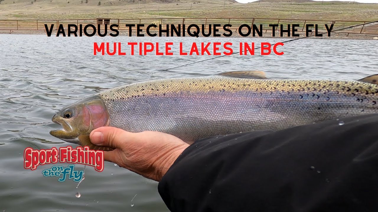 FLY FISHING: VARIOUS TECHNIQUES ON THE FLY - YouTube