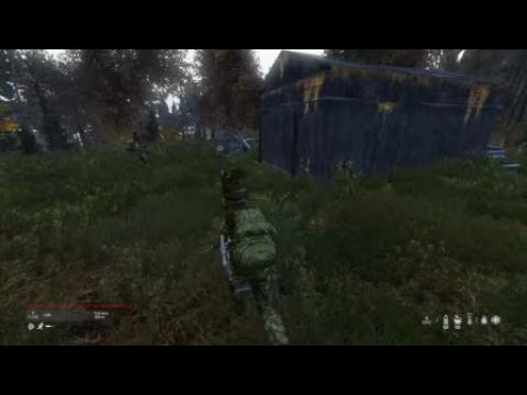How to shoot a Grande in the grass at 60 meters DayZ - YouTube