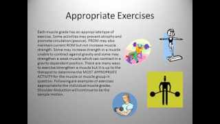 Muscle Grading System Motor