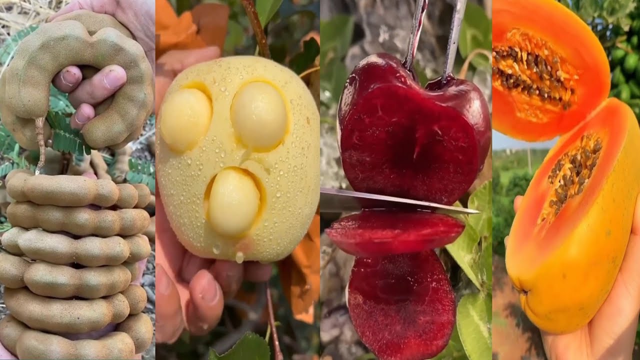 Farm Fresh Ninja Fruit (oddly satisfying fruit ninja cutting chinese ...