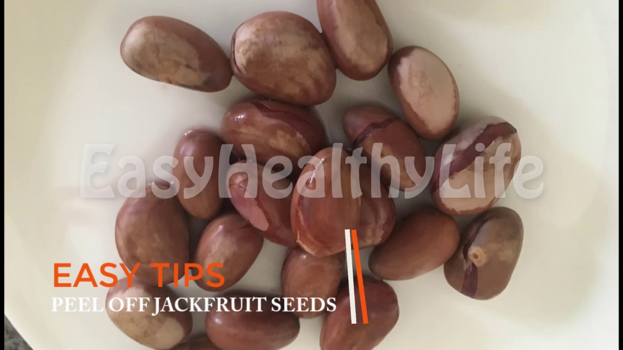 Easy Best TIPS Peel Off Jackfruit Seeds How To Peel Jackfruit Seeds ...