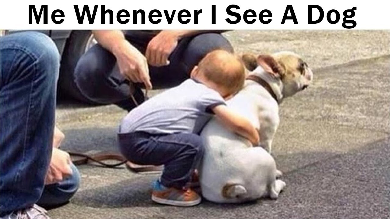 Daily Fresh Memes 175 - YouTube