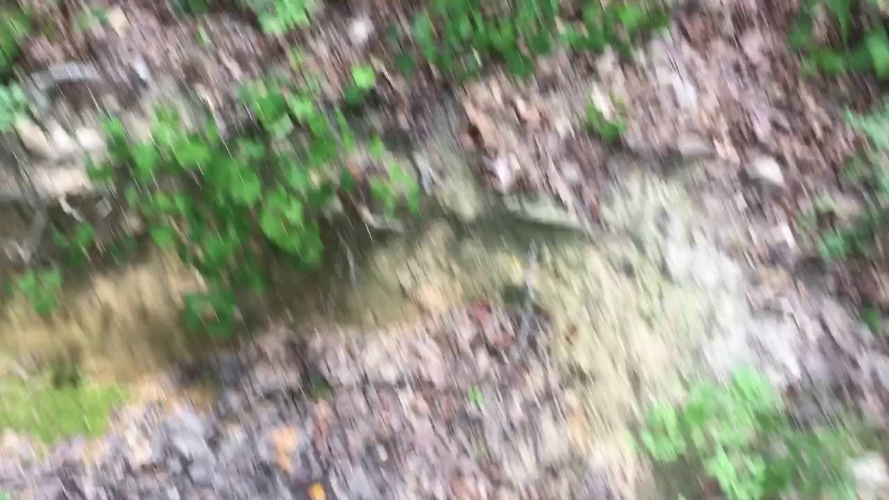 Digging for something - YouTube