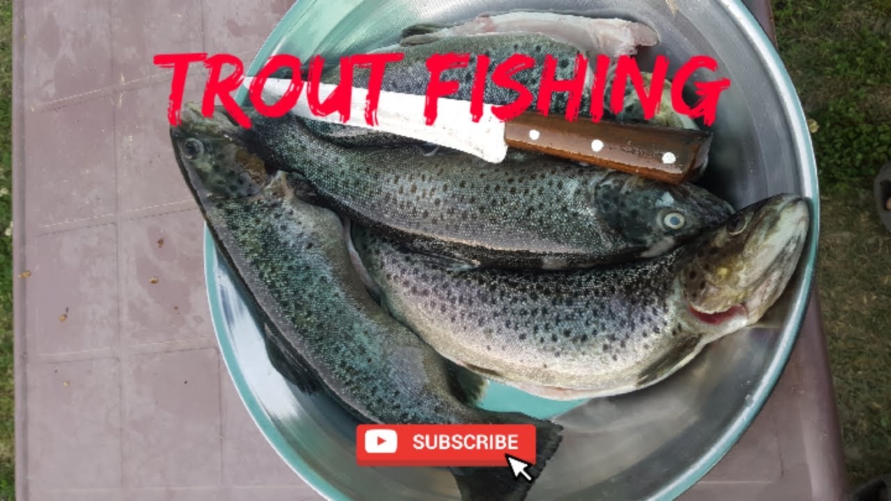 Trout Fishing | Swat Valley | Mahodand Lake - YouTube