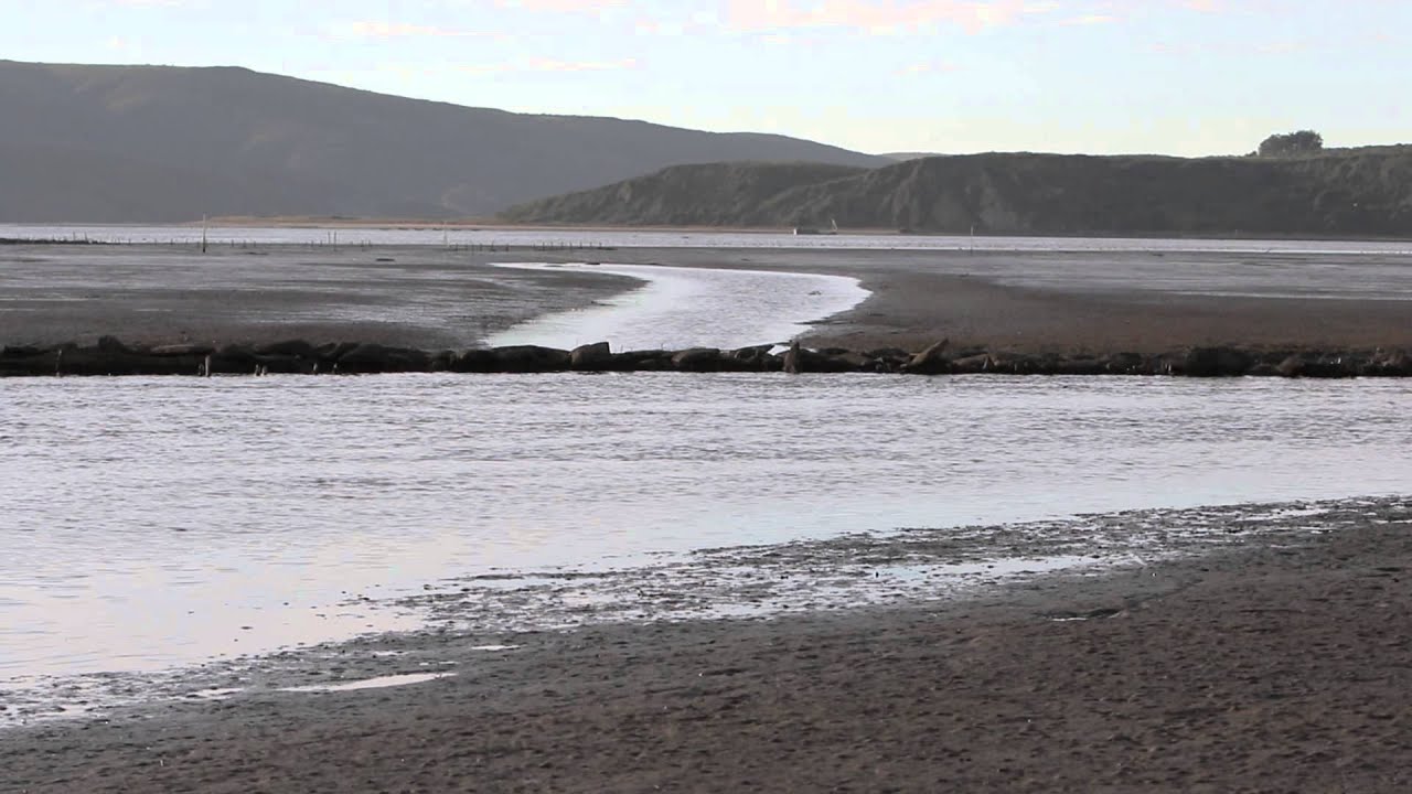 Dike of plastic oyster bags and PVC pipes in Tomales Bay at Walker ...
