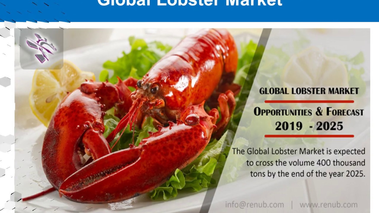 Global Lobster Market - Importing & Exporting Countries, Forecast 2019 ...