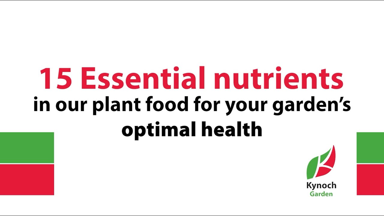 15 Reasons Why Kynoch Garden Range Fertilizers are the Best I Ultimate ...