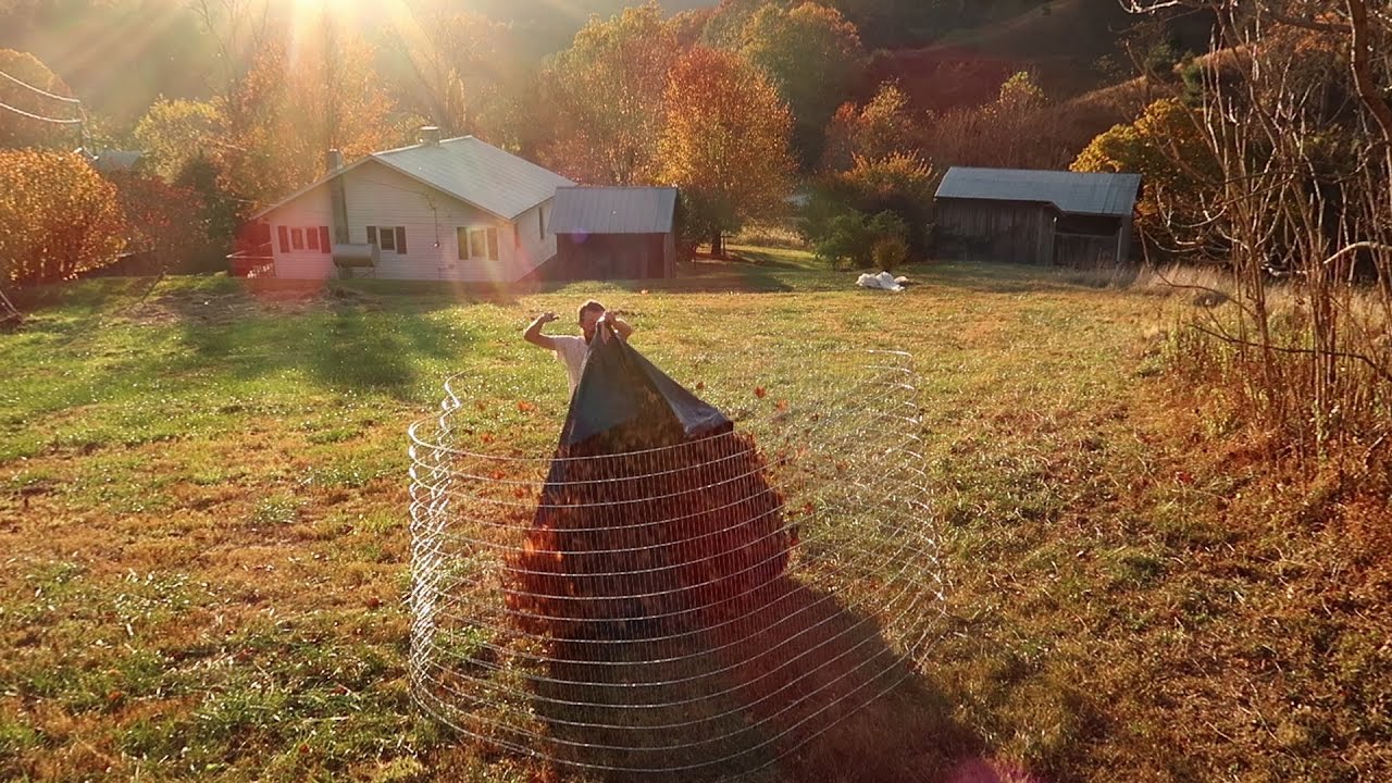 Compost Your Leaves! - Build A Leaf Mold Ring - YouTube
