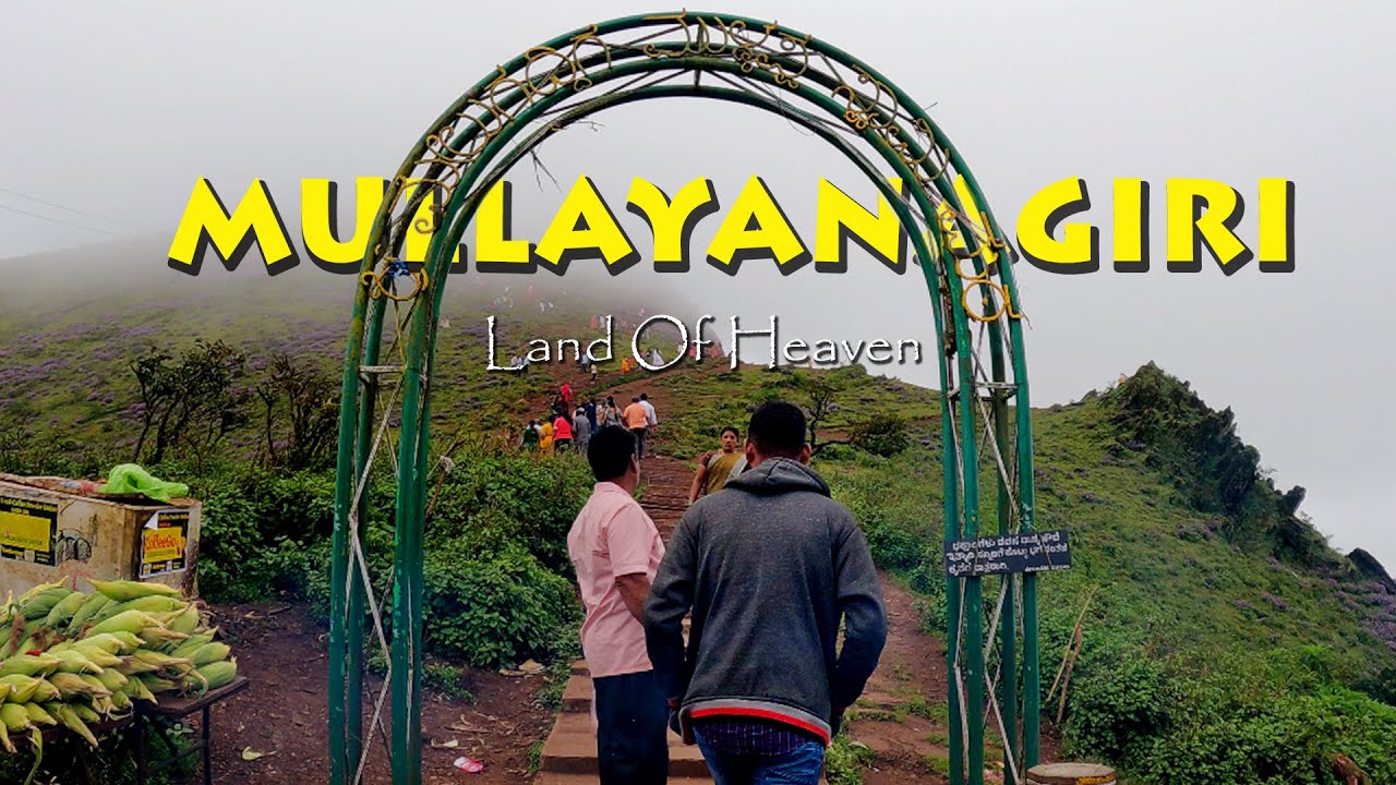 Chikmagalur EP-3 | Mullayanagiri Peak | Kuriji Flower | kemmangundi ...