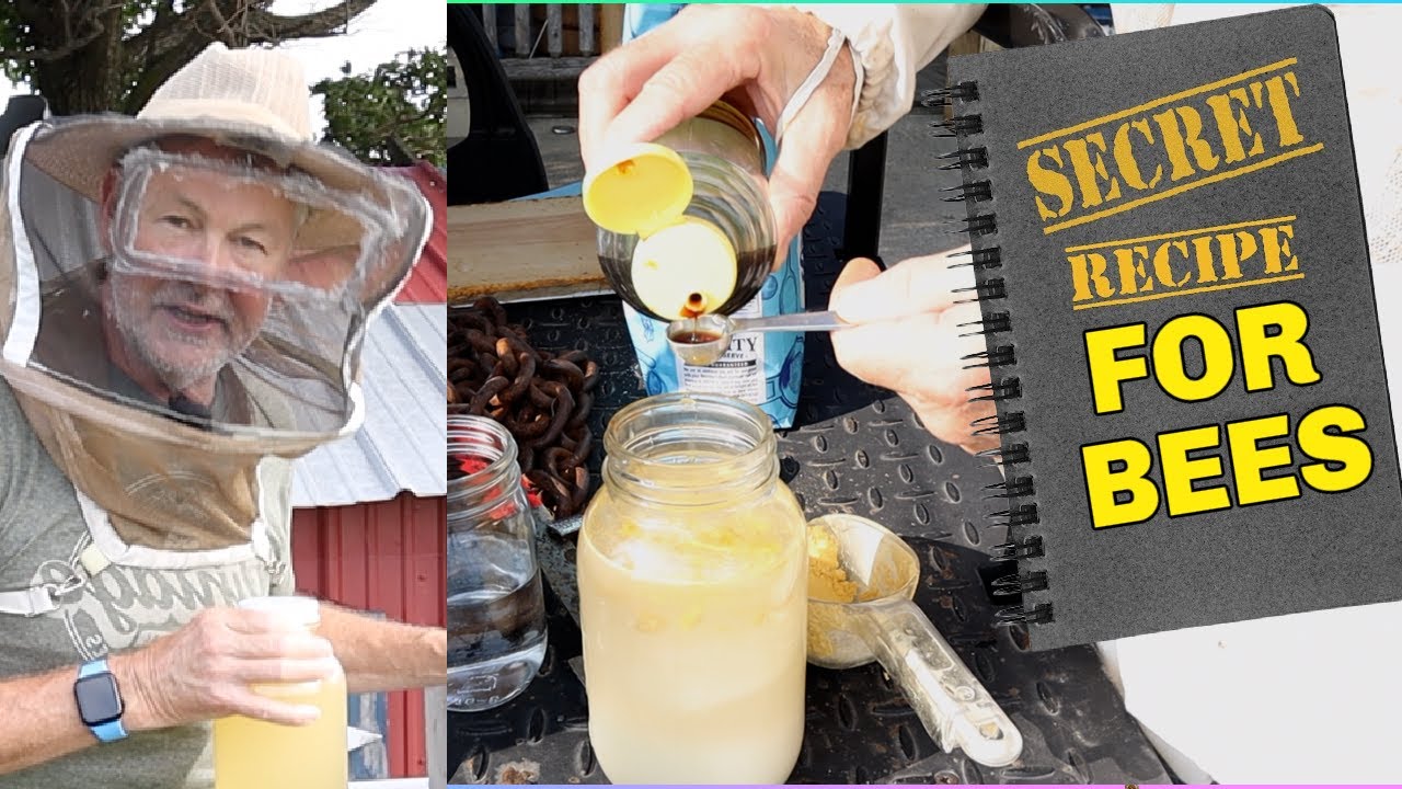 Beekeeping | My Secret Recipe For Feeding Bees In The Fall! - YouTube