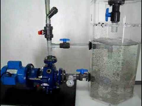 Industrial: Innomag Solids Handling - YouTube