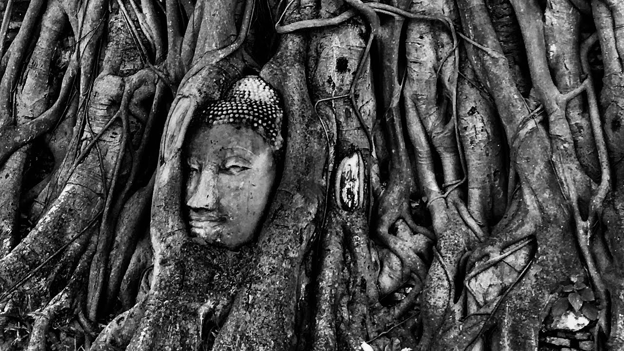 [60] 🌳 Lovecraft — Drzewo / The Tree (1920) - YouTube