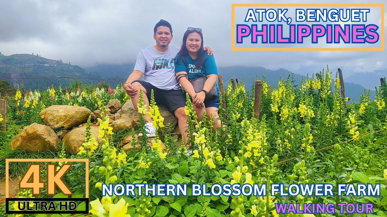 [4K] 🇵🇭 Northern Blossom Flower Farm Walk - Amazing Day Tour - YouTube