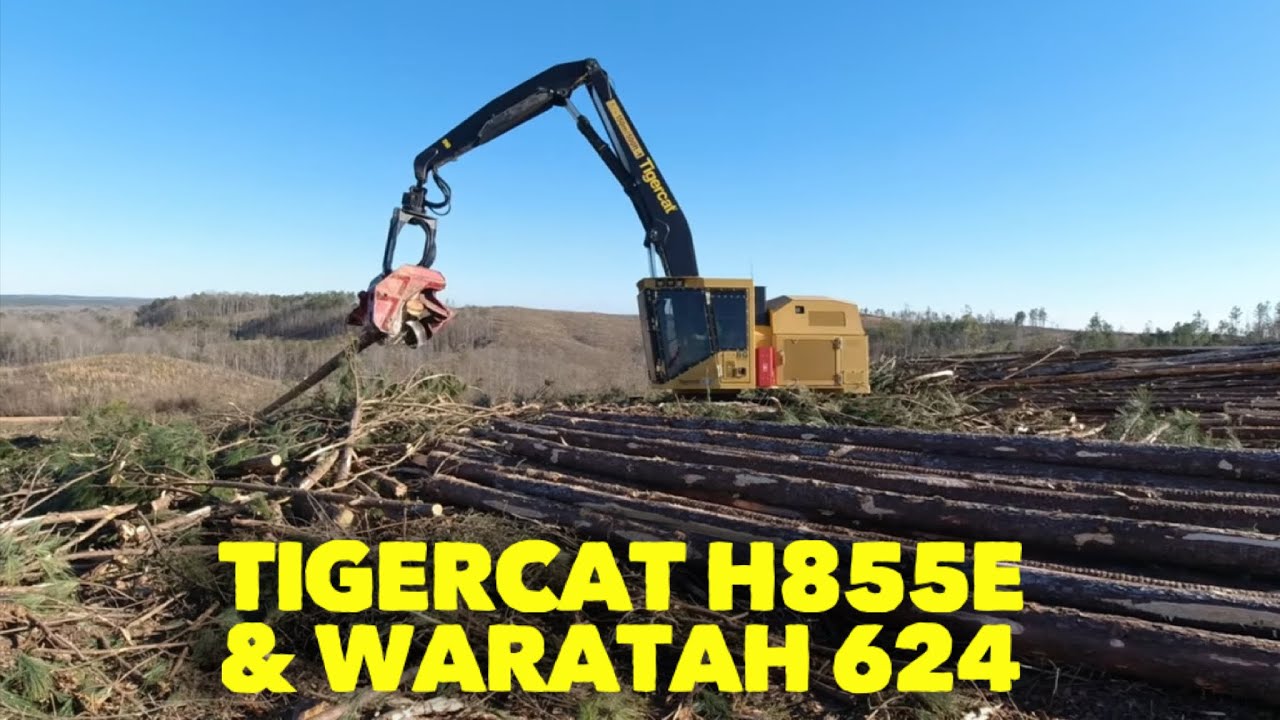 Tigercat H855E with a Waratah 624c processor head - YouTube