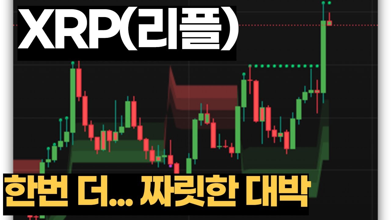 엑스알피 한번 더 짜릿한 대박을 만들수 있는 코인 지금 가장 중요한 한가지 이것만 지키시면 됩니다 엑스알피 Xrp 리플