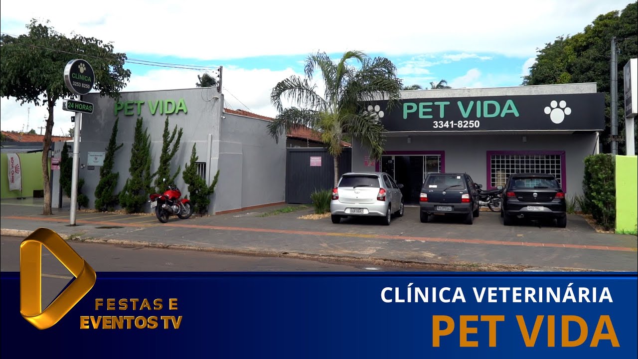 Clínica Veterinária Pet Vida - YouTube