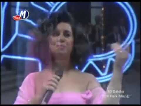 Hülya Süer - Yollar Seni Gide Gide Usandım