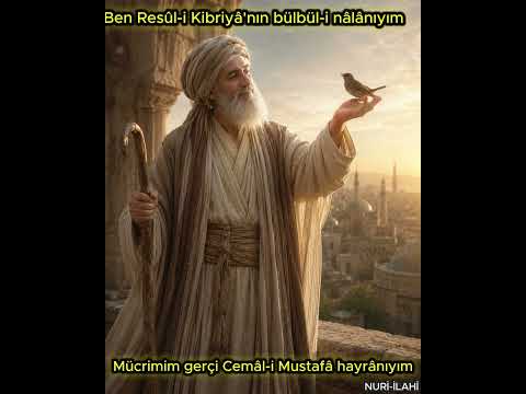 Derdmendim yâ Resûlallah  (Ben Resûl i Kibriyâ'nın bülbül i nâlânıyım)