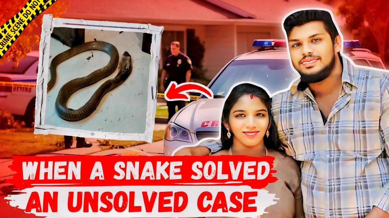 When A Snake Solved A Murder Mystery For The Police ! True Crime ...