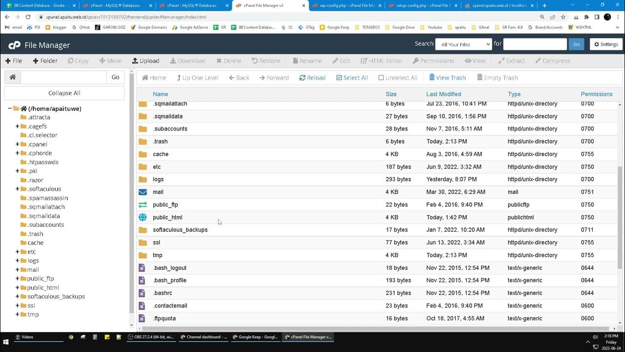How to Connect Database in Cpanel | Connect Wordpress Database - YouTube