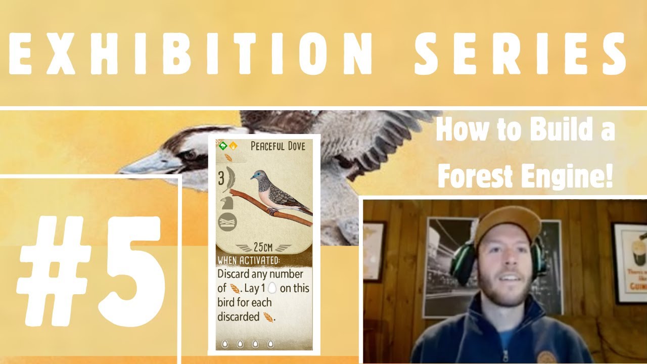 Wingspan Exhibition Series: Game #5 - How to Build A Forest Engine! - YouTube