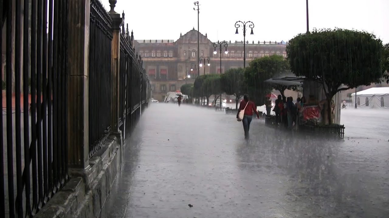 Heavy Rain in Mexico City 🌧 #rainoundforsleep 💤💤💤 - YouTube