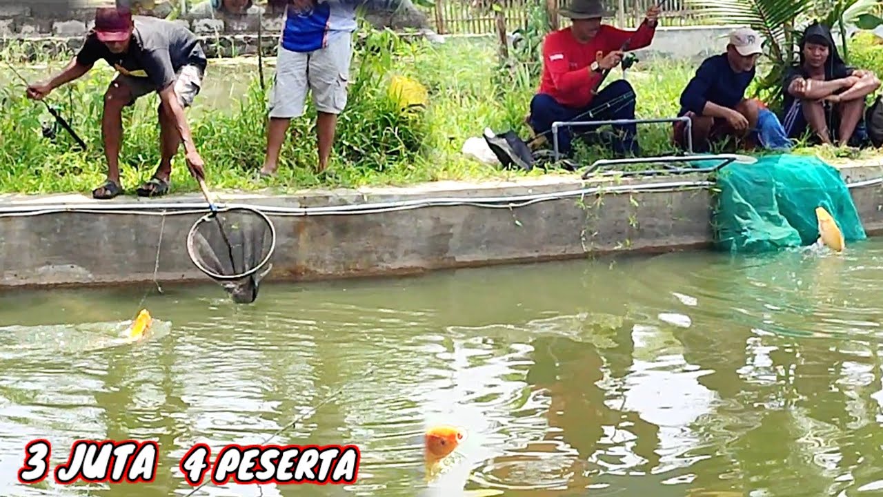 HATI HATI!! DENGAN EMPAT PEMANCING INI TIKET MANCING BERAPAPUN DI ...