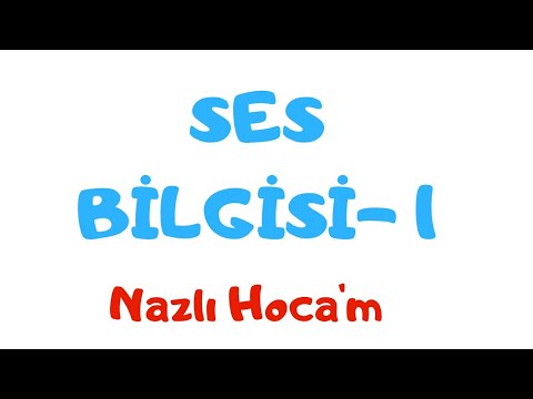 SES BİLGİSİ - 1